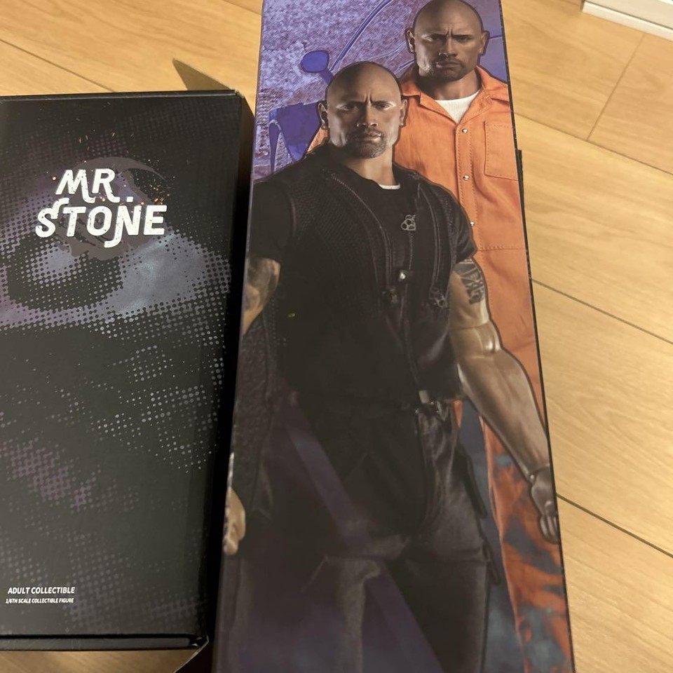 Dwayne Johnson The Rock 1 6 Figure Champion Belt | eBay UK