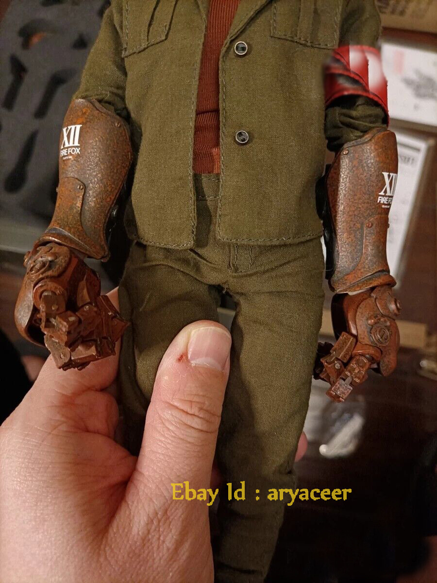 BLACK 13 PARK B13 Night Assault Group Fox Action Figure Model In Stock ...