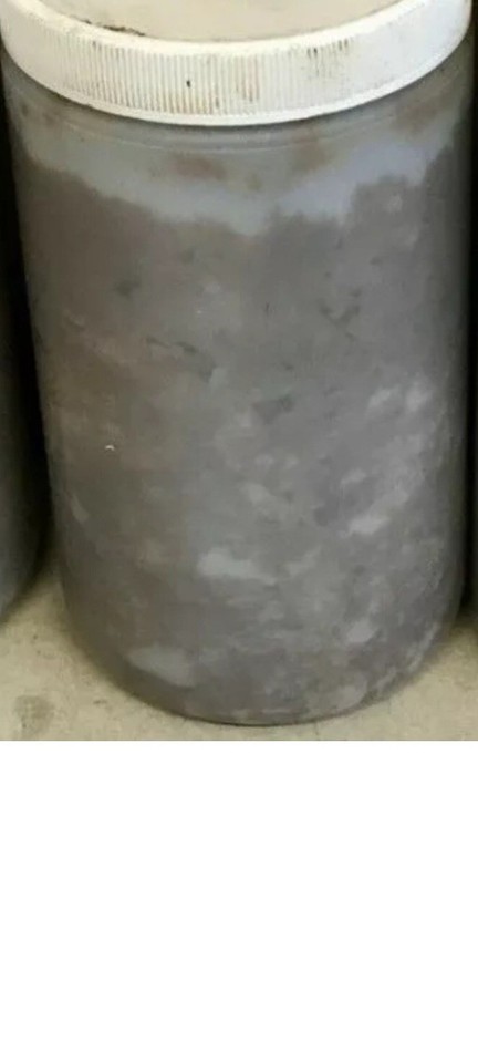 Half Gallon, Ground, Tainted and preserved beaver meat, | eBay