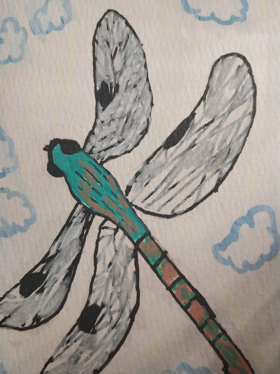 Whimsical Dragonfly Drawings Whimsical Detailed Fantasy Dragonfly With
