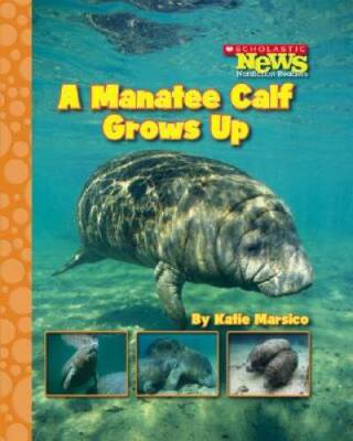 A Manatee Calf Grows Up (Scholastic News Nonfiction Readers: Life ...
