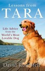 David Rosenfelt Lessons from Tara (Paperback) (UK IMPORT) | eBay