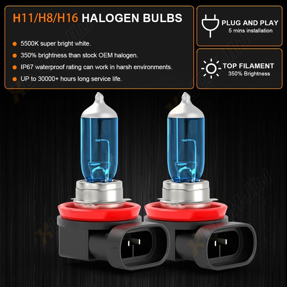 Halogen H11 55W White 5000K Two Bulbs Head Light Low Beam Replacement ...