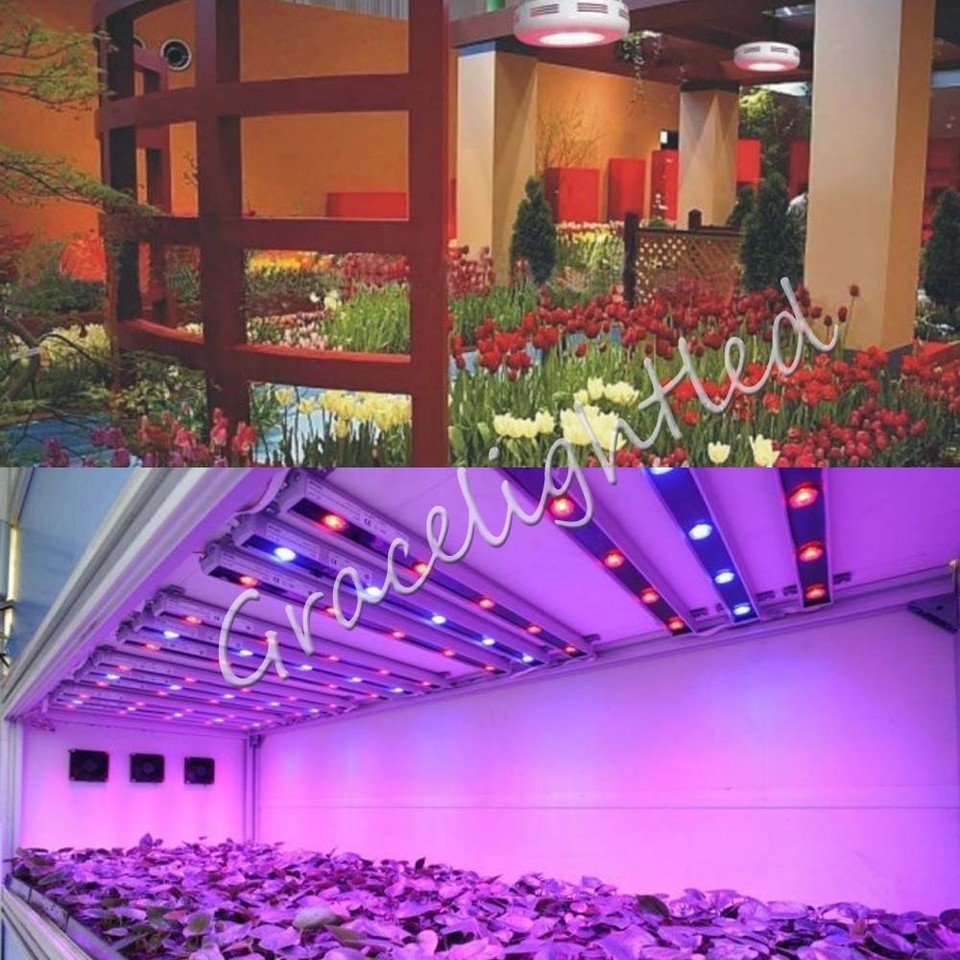 10pcs 3W 3Watt full spectrum led chip 400nm-840nm Plant grow light on ...