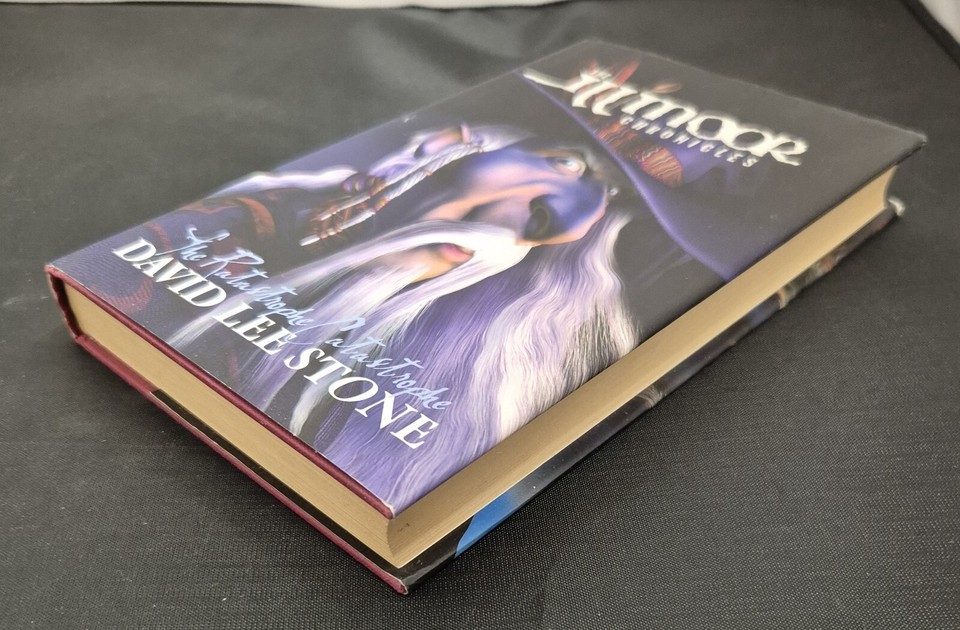 Illmoor Chronicles The Ratastrophe Catastrophe by David Lee Stone ...