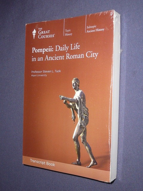 Pompeii : Daily Life in an Ancient Roman City by Steven L. Tuck (Trade ...