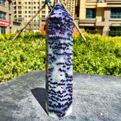 1.63LB Natural Beautiful Zebra Stone Crystal Column Quartz Specimen | eBay