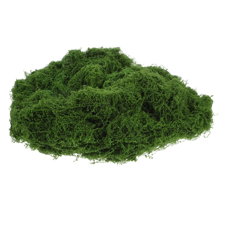 150g Micro Landscape Moss Ornaments For Diy Crafts Glass Terrariums ...