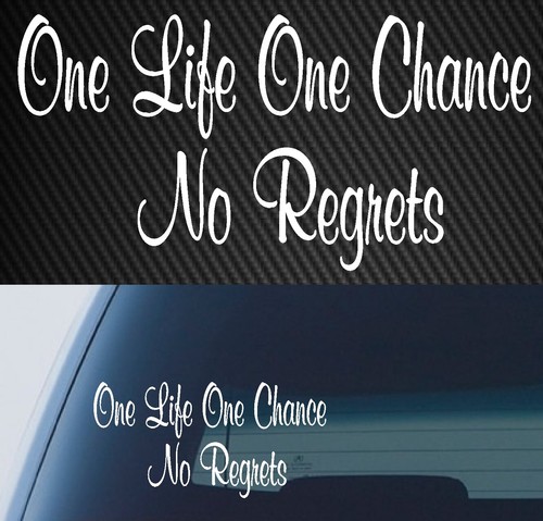 One Life NO REGRETS Sticker Decal Chance Car Vinyl Live 4x4 Ute 200mm ...