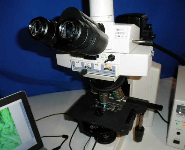 Nikon Eclipse E600 Fluorescence Phase Contrast Microscope 18mp for sale online | eBay