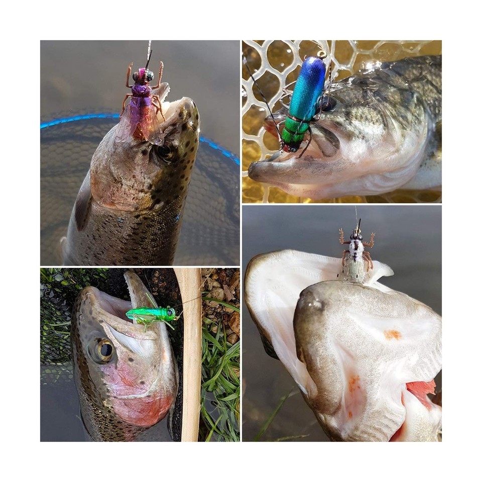 Trout Fly Fishing Flies Collection Dry Wet Nymph Fly Assortment with ...