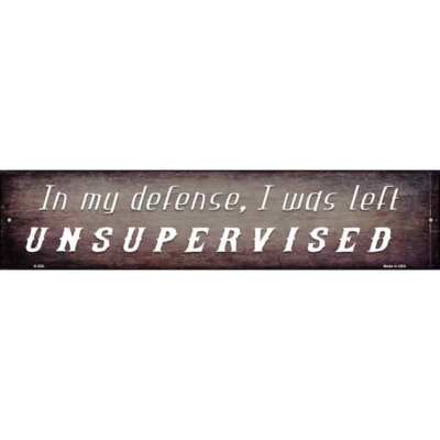 I Was Left Unsupervised Novelty Metal Small Street Sign K-926 | eBay