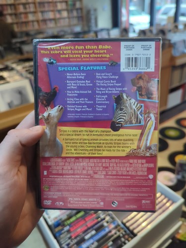 Racing Stripes (DVD, 2005) Sealed 85393368821 | eBay UK