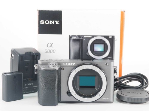 Sony a6000 ILCE-6000 Digital Camera Gray Body 22382 Shots w/ Box[Top ...
