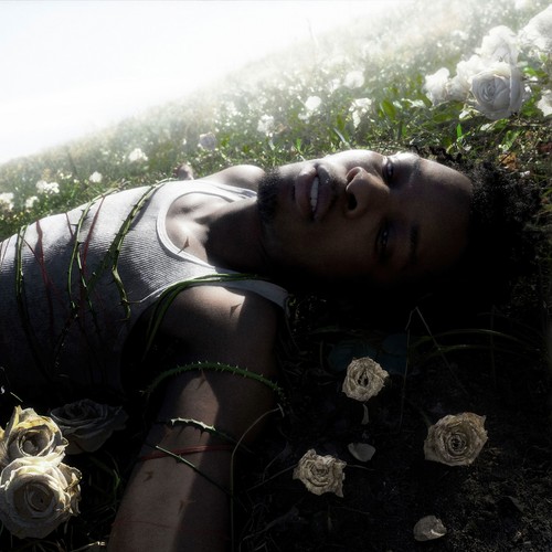 d4vd WITHERED (Vinyl) 12" Album Coloured Vinyl | eBay Australia