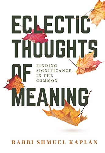 ECLECTIC THOUGHTS OF MEANING: FINDING MEANING IN THE By Rabbi Shmuel Kaplan NEW | eBay
