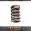 EDELBROCK VALVE SPRINGS FOR HYDRAULIC ROLLR CAM W/1.800 INSTALLED ...