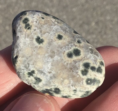 18g Polished Ocean Jasper palm stone Orbicular Druzy Shadow Banded | eBay