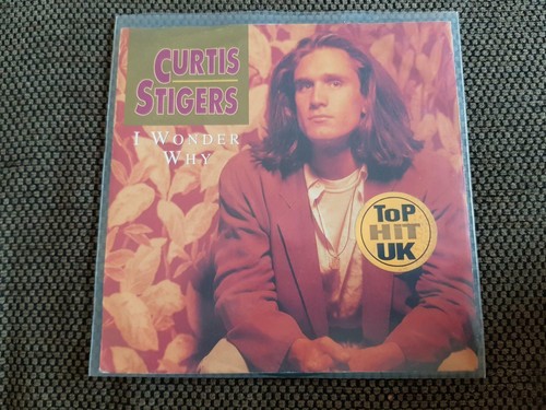 7" Single Vinyl Curtis Stigers - I wonder why GERMANY | eBay