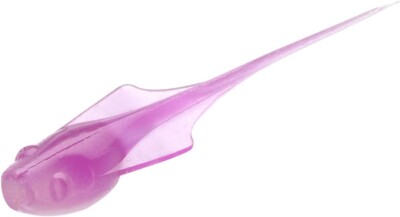 13 Fishing Madpole - Purple Rain - Ice Fishing Soft Plastics Pack of 6 ...