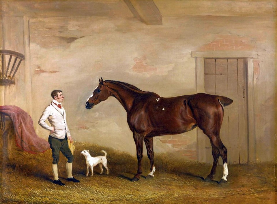 Art Oil painting John-Ferneley-Snr-Portrait-of-a-chestnut-hunter-in-a ...