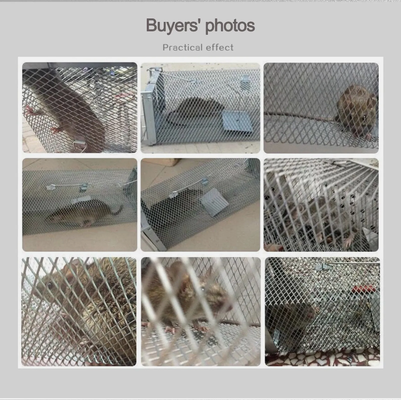 USA Mouse Trap Rat Trap Rodent Trap Live Catch Cage, Easy to Set Up and ...