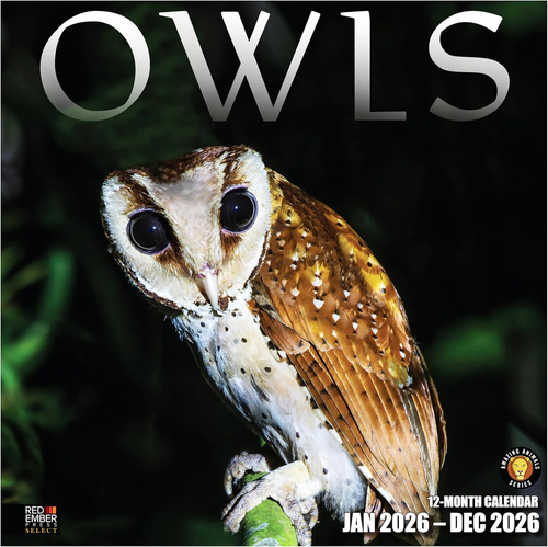 RED EMBER Owls 2026 Calendar, 12-Month, 12x24 Open, Thick Paper ...