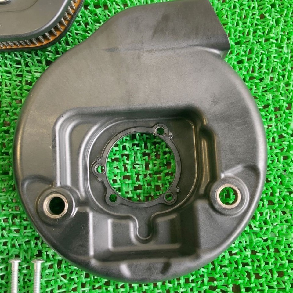 [USED]Harley Davidson Genuine XL1200 SportsterAir Cleaner Box 29000015A ...