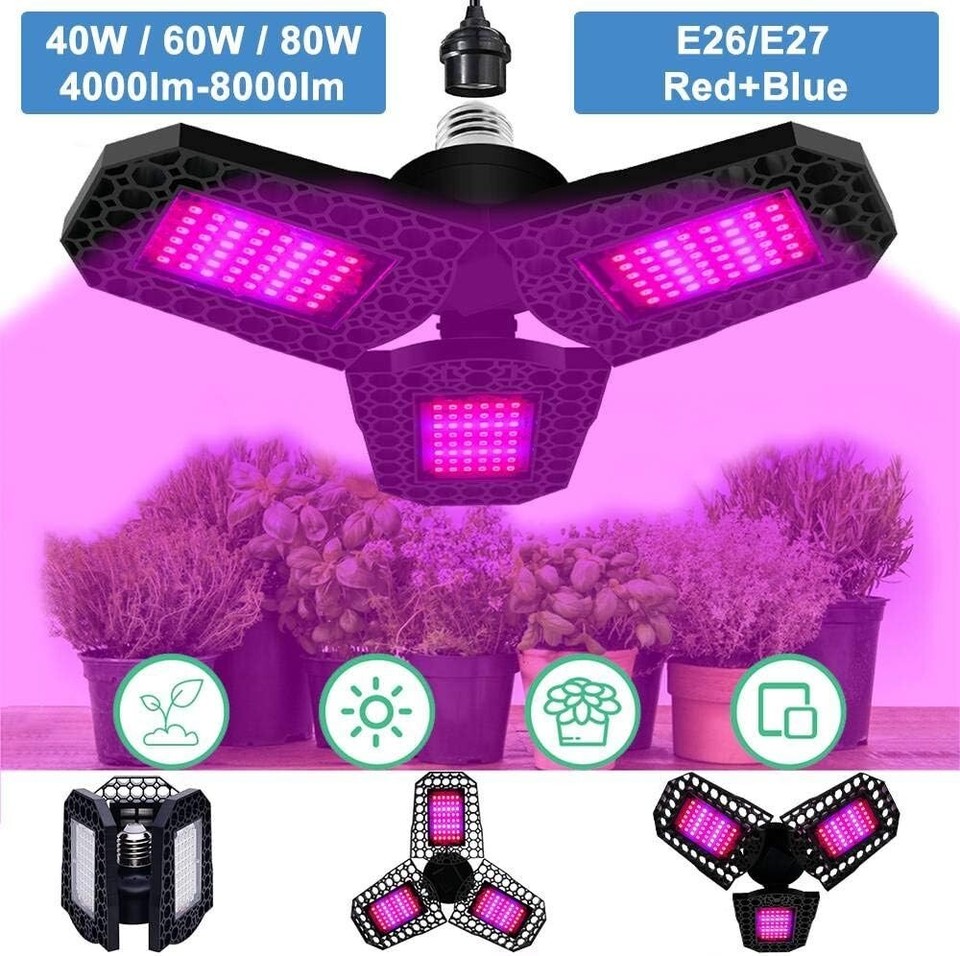 Full Spectrum 144LED Grow Light Plant Growing Lamp for Indoor Plants ...