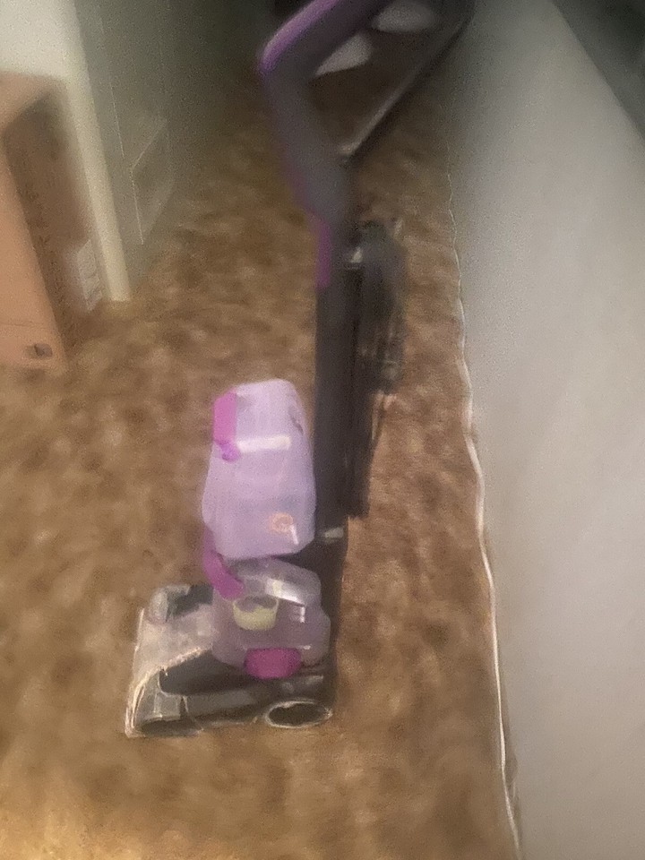 BISSELL ProHeat 2X Revolution Pet Pro Plus Upright Deep Cleaner ...