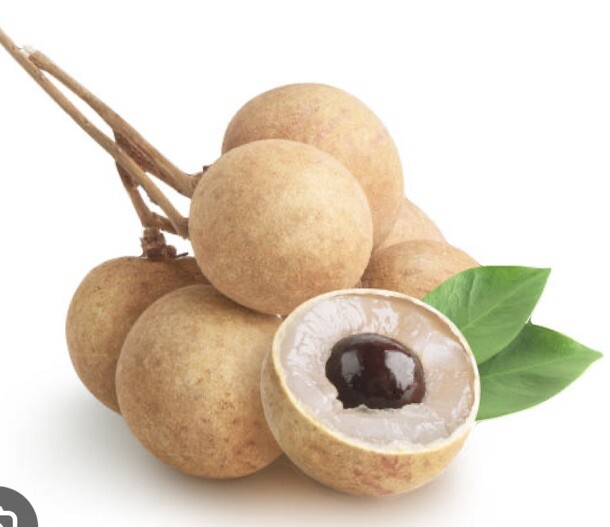 2 Live Plants 4-9”Tall Longa Fruit Tree Tropical Fruit Live Plant ...