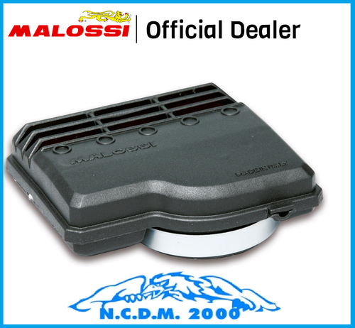 Malossi 043687 Air Filter Red Filter E9 Piaggio Ciao SI Boss Grillo ...