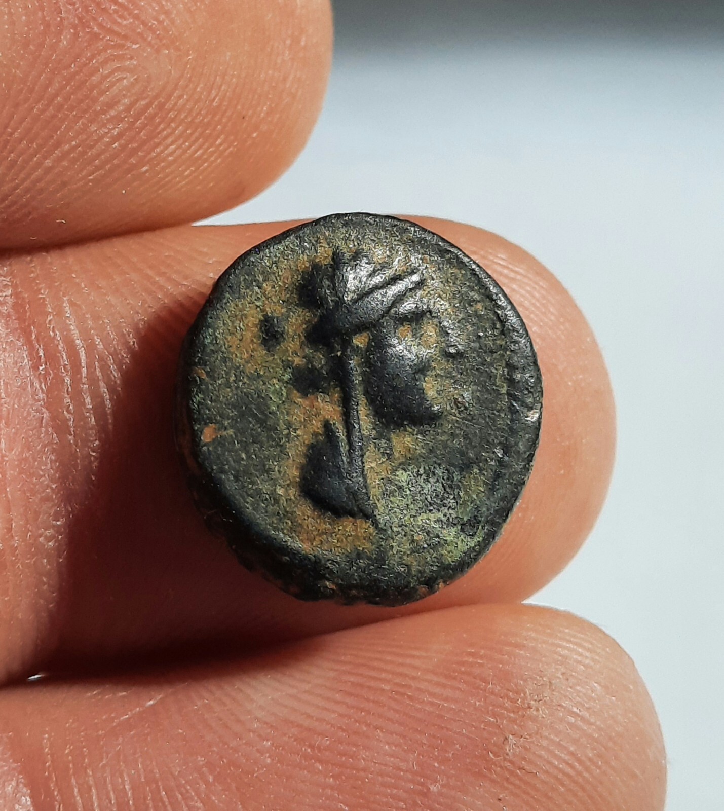 SYRIE - ROYAUME SÉLEUCIDE - SÉLEUCUS IV PHILOPATOR | eBay