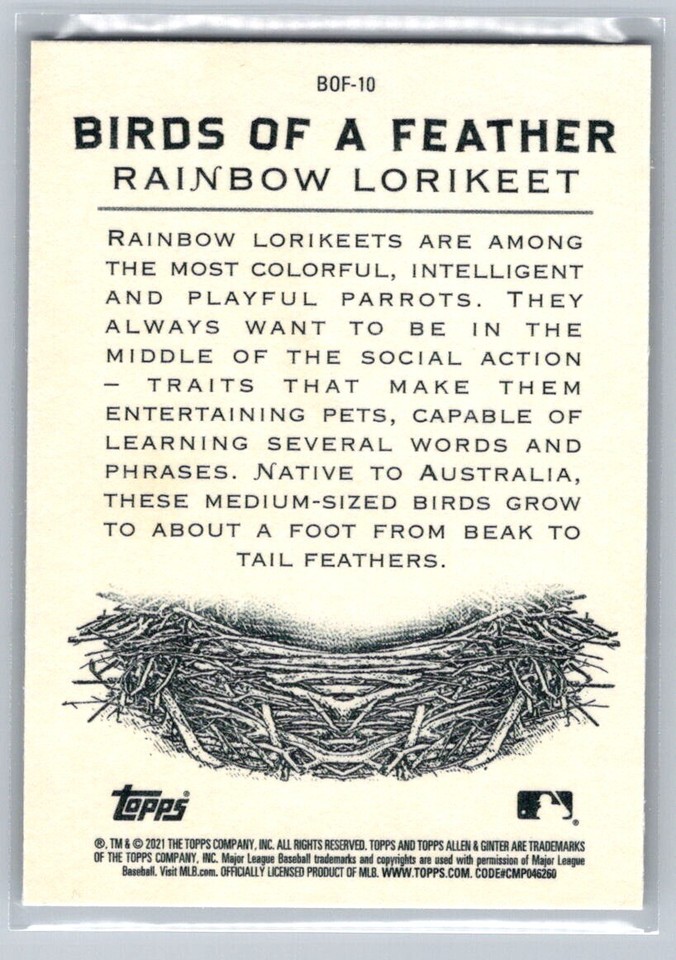 2021 Topps Allen & Ginter #BOF-10 Rainbow Lorikeet Birds of a Feather ...
