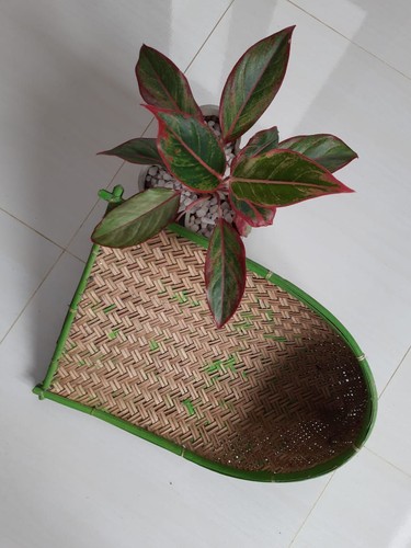 Ceylon Traditional Cane Winnowing Fan Kulla Sri Lanka Hand Carved ...