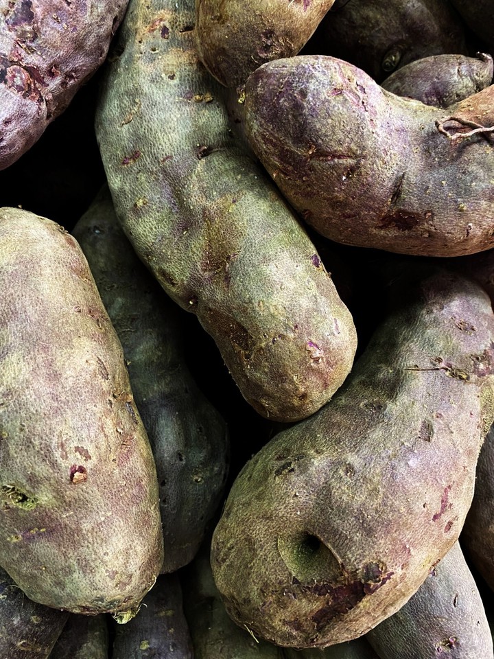 Japanese Purple Sweet Potatoes Beni Imo Planting or Cooking Non GMO | eBay