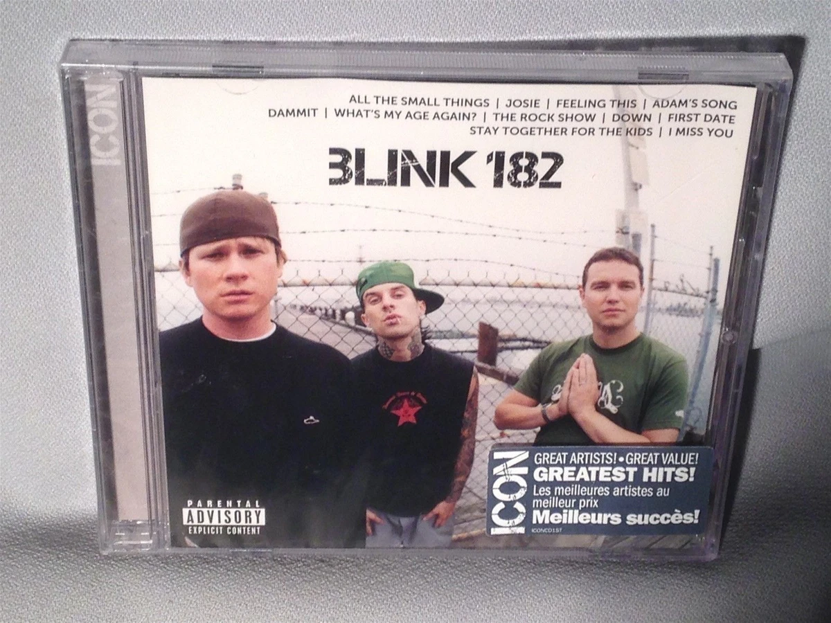 Blink 182 Icon Album Cover