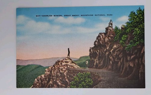 Charlies Bunion Great Smoky Mountains National Park Vintage Souvenir Postcard | eBay