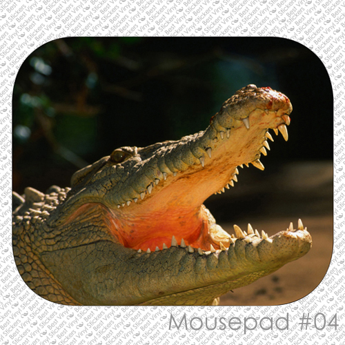 ALLIGATOR CUSTOM MOUSE PAD WILD LIFE PHOTO FAMILY MOUSEPAD (CM-03) | eBay