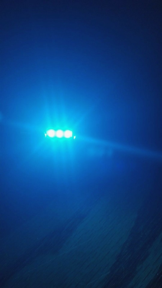 10 Cool Blue 29mm 8V Fuse Lamp LED Light Bulb Marantz Sansui Pioneer ...