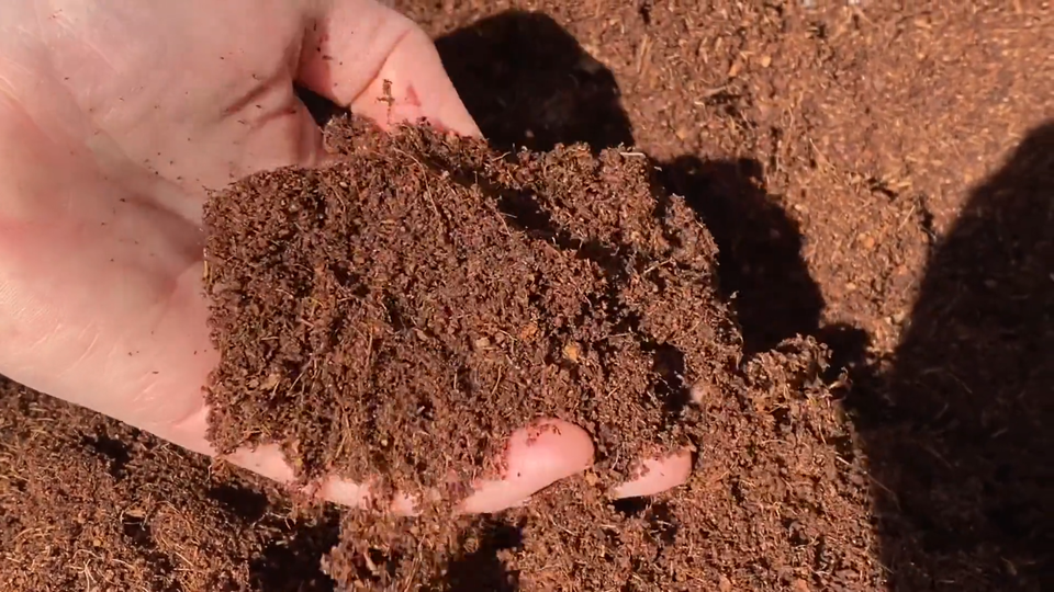 Tortoise Soil, Vivarium Substrate, Coco Coir 8-9L block, Great for all ...