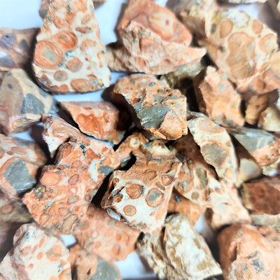 Natural Leopardite Jasper Rough Rock Mineral from Peru Small Bag of 4/5 ...