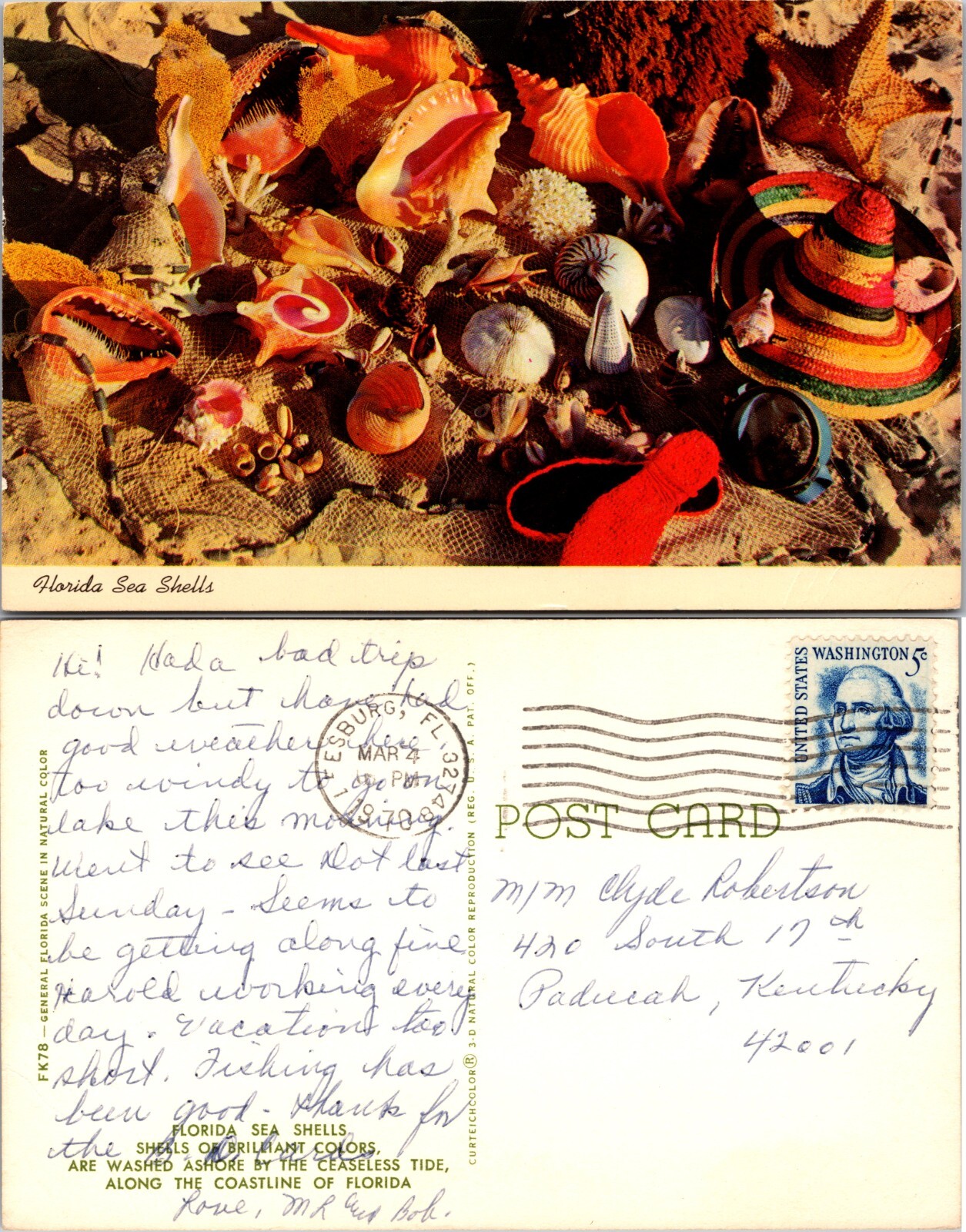 Colorful Assorted Florida Sea Shells Postcard | eBay
