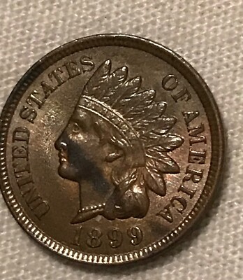 1899 Indian head cent , Lustrous Brown Uncirculated, | eBay