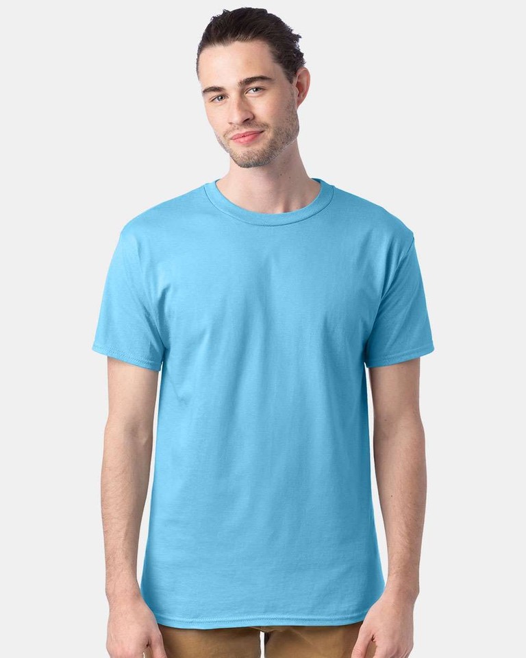 Hanes 5280 Unisex Adult ComfortSoft Plain Crew Neck Short Sleeve Tee T ...