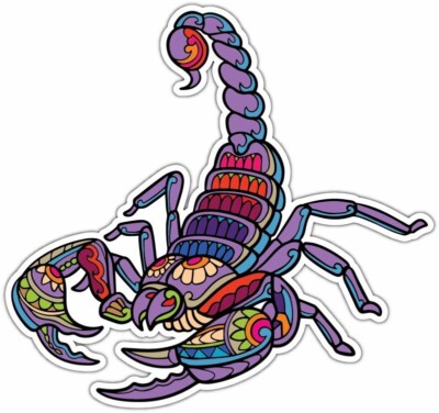 Cute Colorful Scorpion Venom Zentangle Mandala Bumper Window Sticker ...