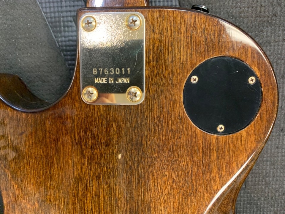 1976 Electra X110 Japan Electric Guitar With Case | eBay