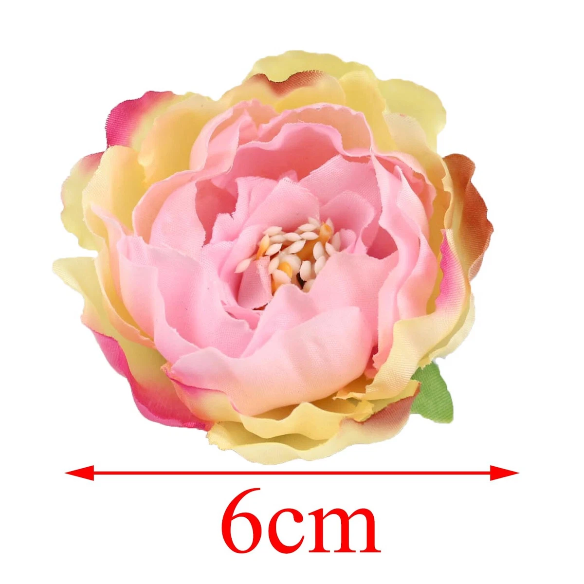 Peony Blue Color Clothing