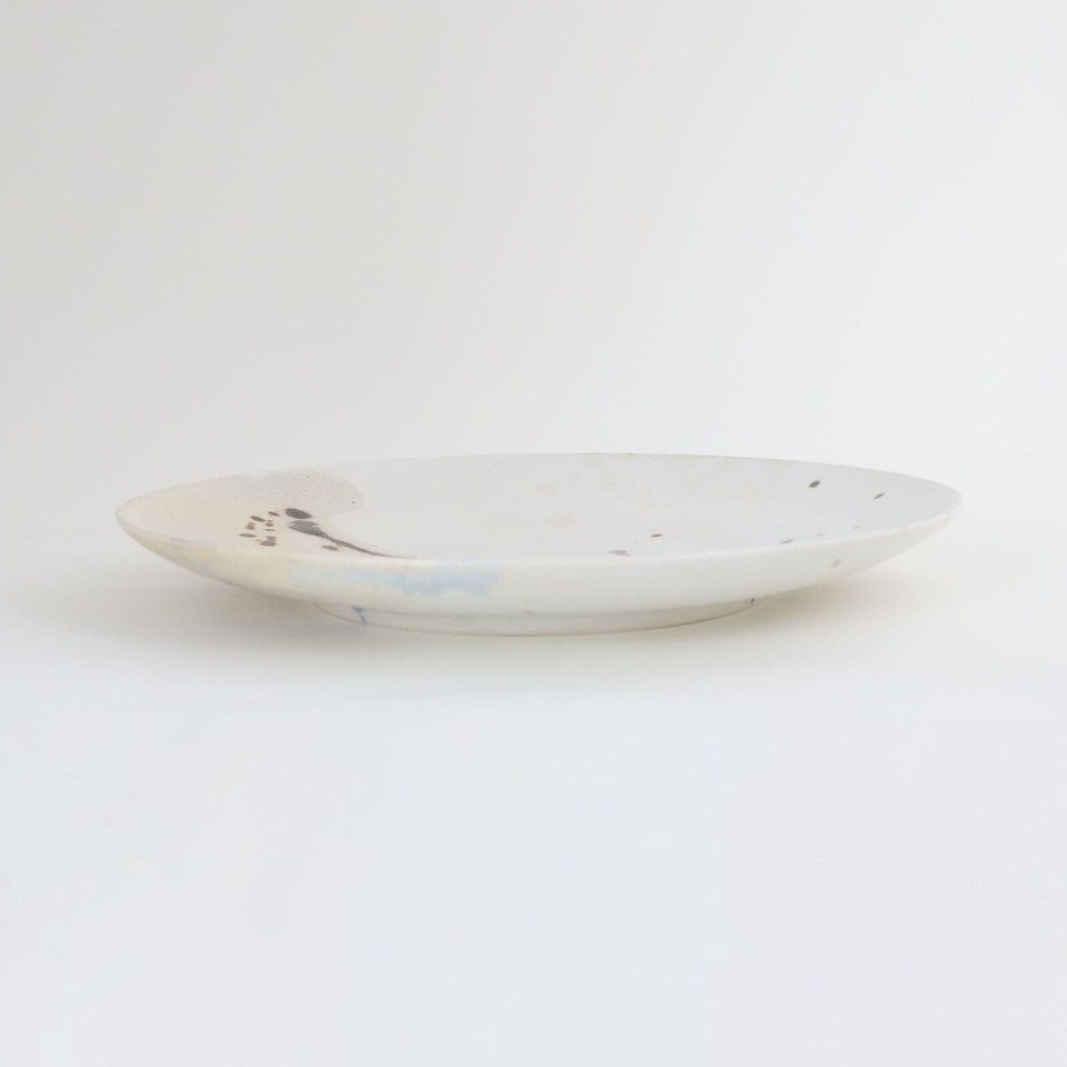 Made in japan dinner plate Yoshinori Takemura Ceramic Plate Diameter 11 ...