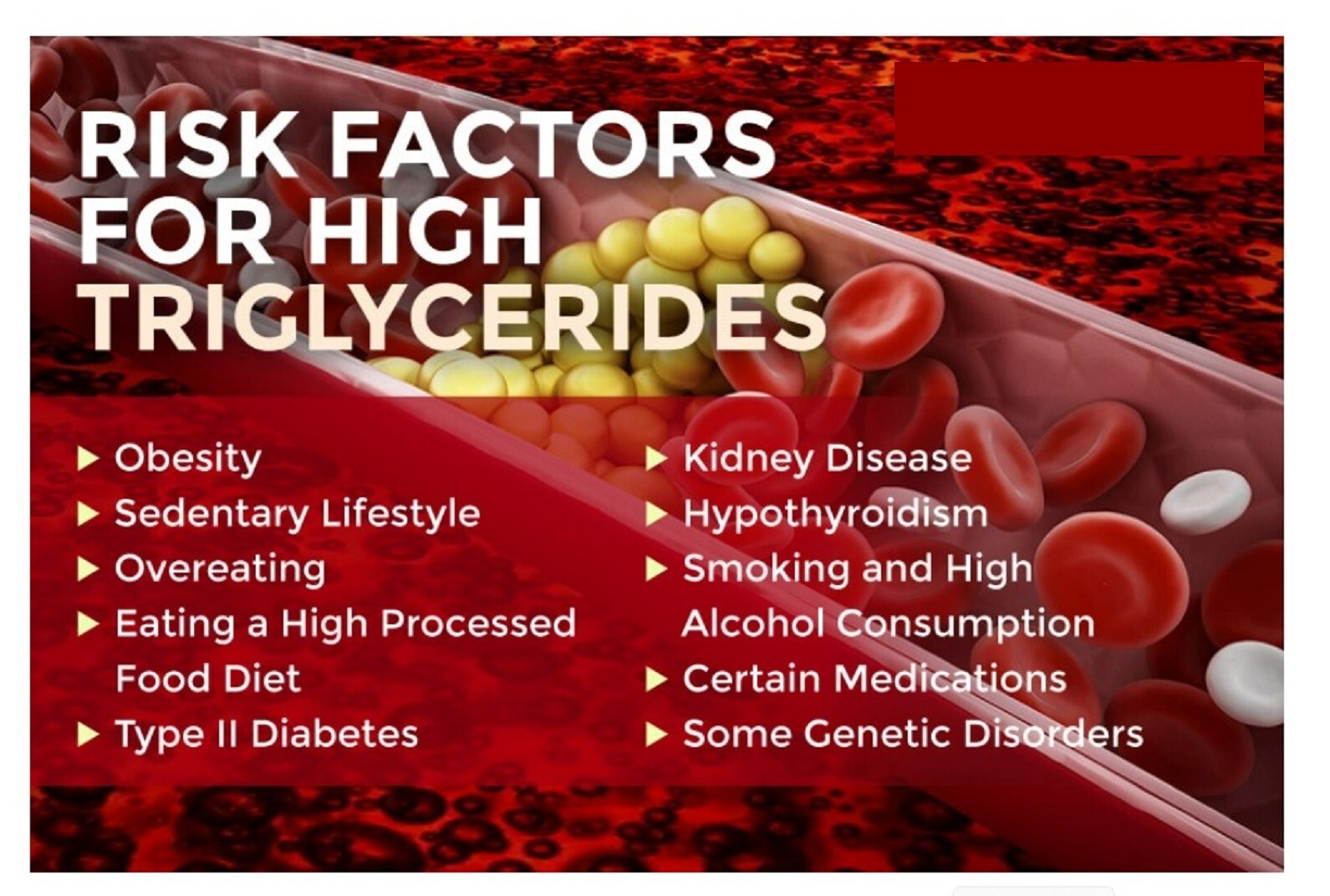 LOWER HIGH TRIGLYCERIDES REMOVER & FLUSHER & SUGAR DOWN MADE IN USA | eBay